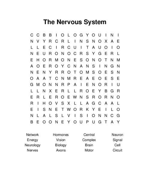 The Nervous System Word Search