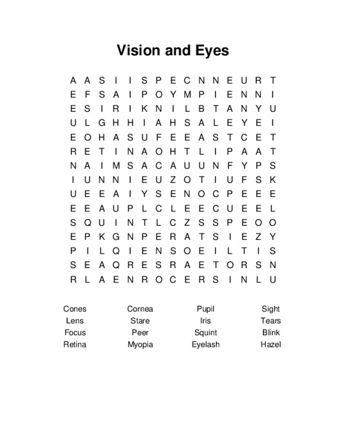 Vision And Eyes Word Search