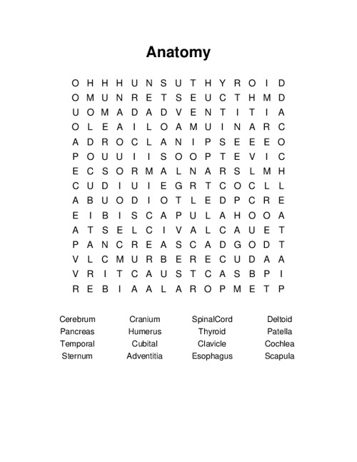 Anatomy Word Search
