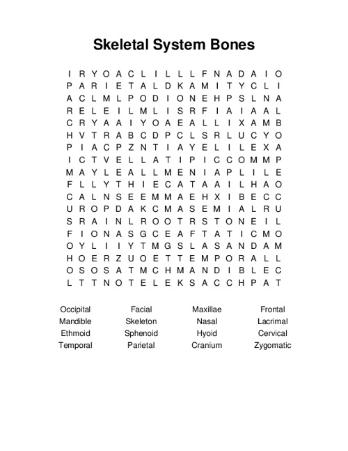 Skeletal System Bones Word Search