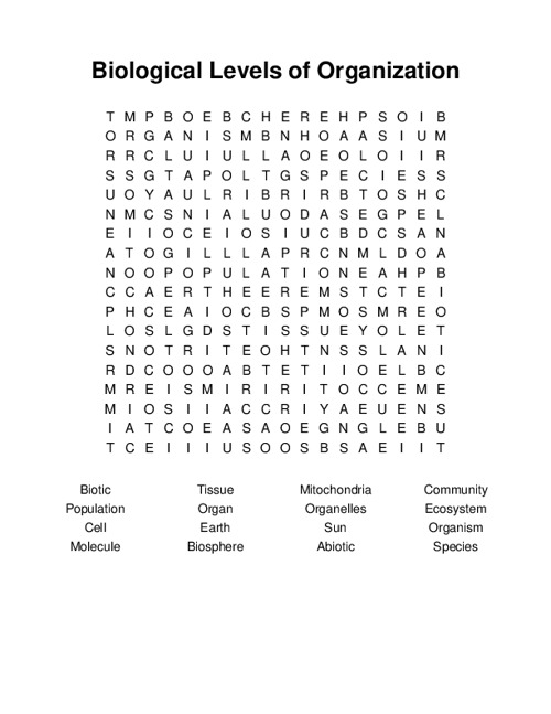 The Space Race Word Search The Space Race Word Search