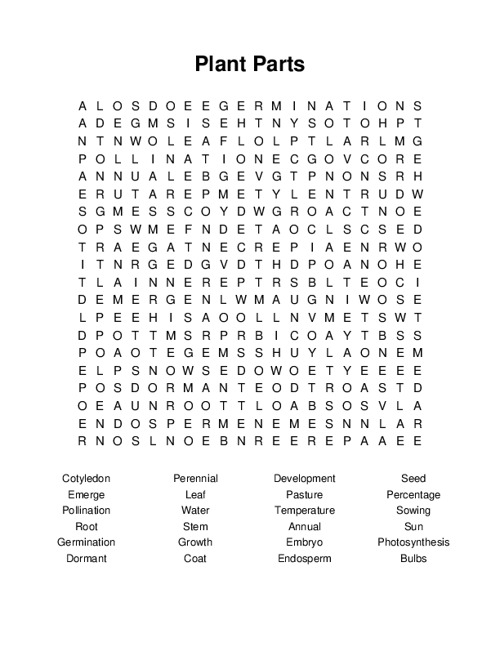 Plant Parts Word Search